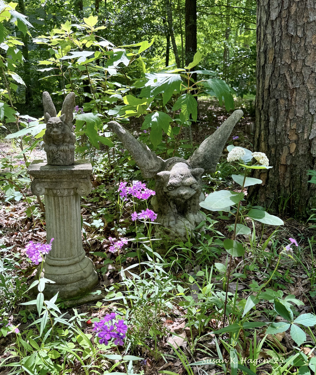 Silent Sunday, 25 May 2025 – After Eden